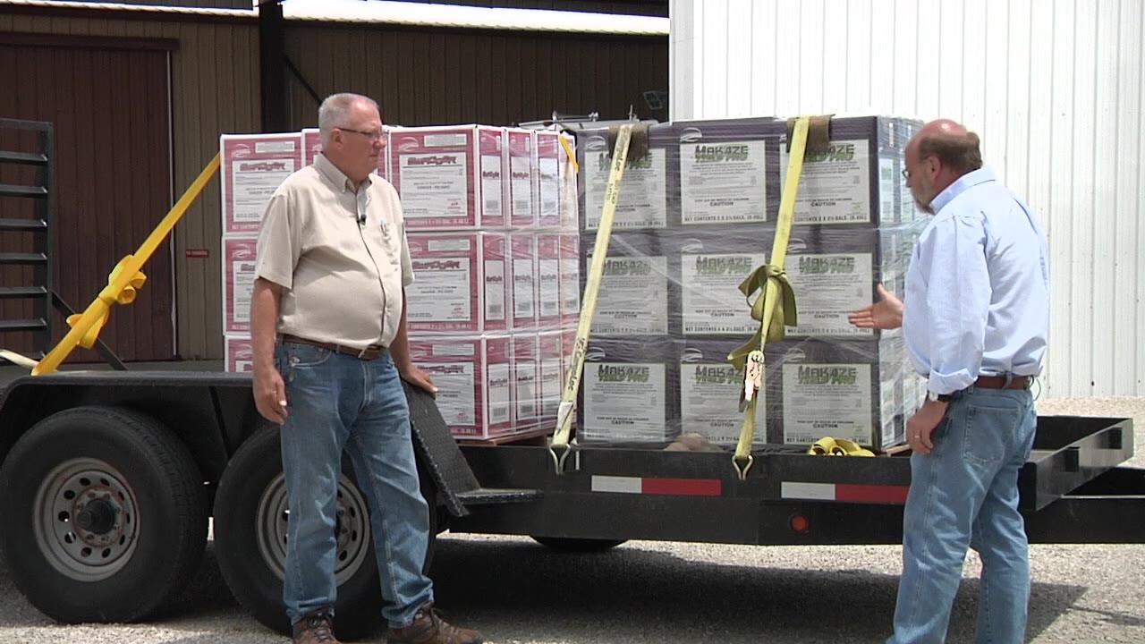 Asmark Institute - Asmark On Demand