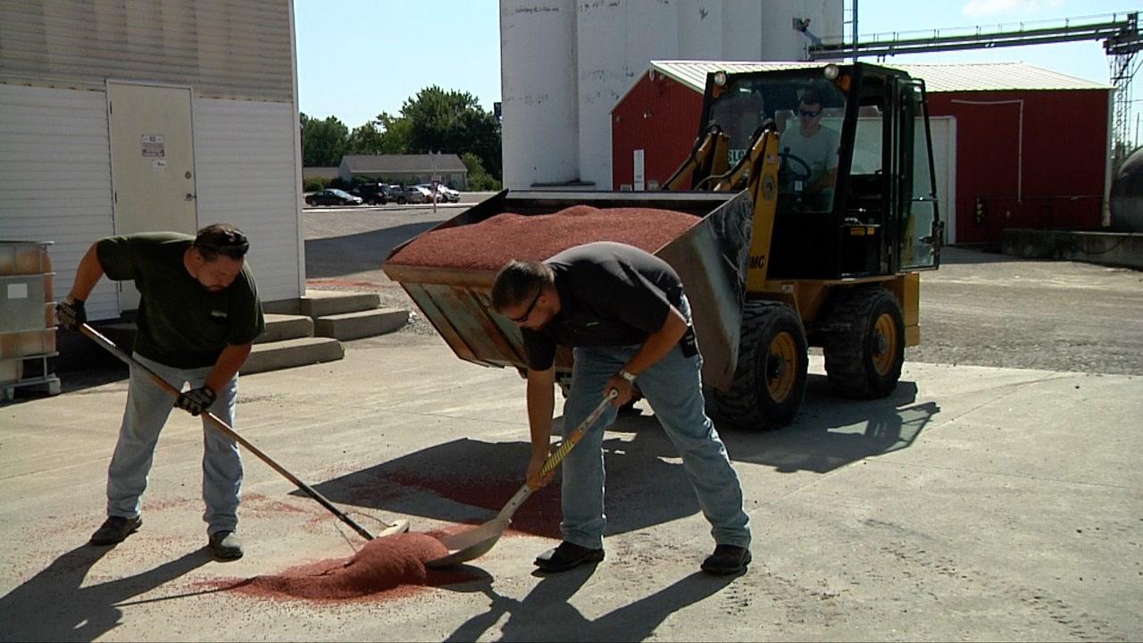 Asmark Institute - Asmark On Demand