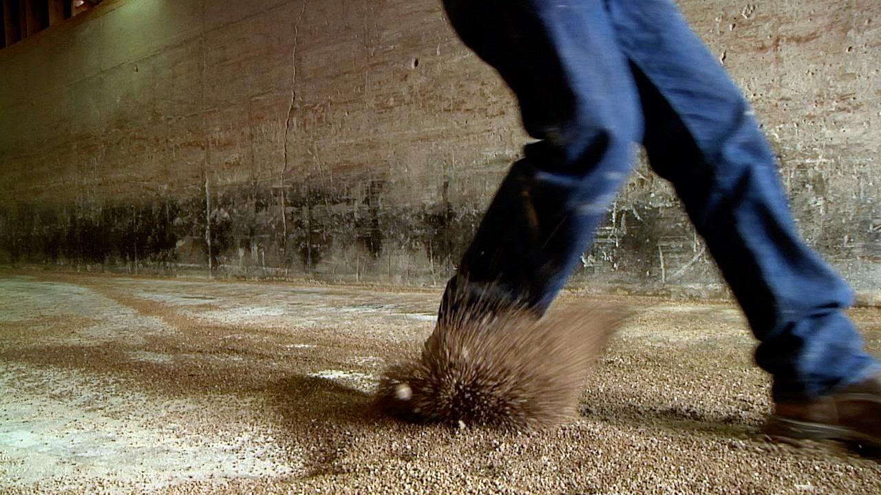 Asmark Institute - Asmark On Demand