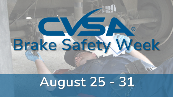 Asmark Institute - Latest News